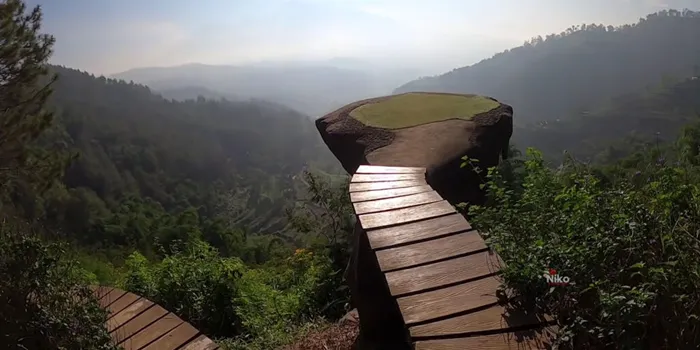 Wisata Goa Pinus Destinasi Alam Yang Instagramable