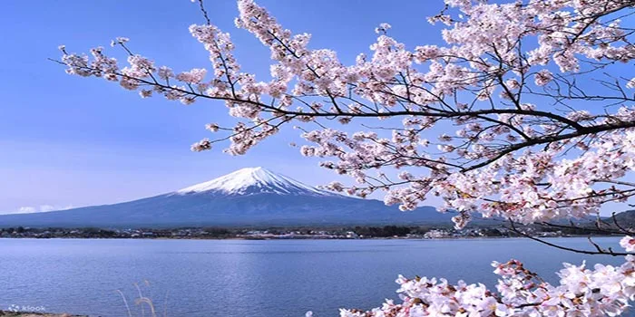 Gunung Fuji – Rekomendasi Spot Terbaik Untuk Dikunjungi