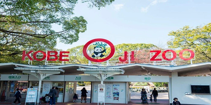 Oji Zoo – Wisata Kebun Binatang Paling Terkenal Di Kobe